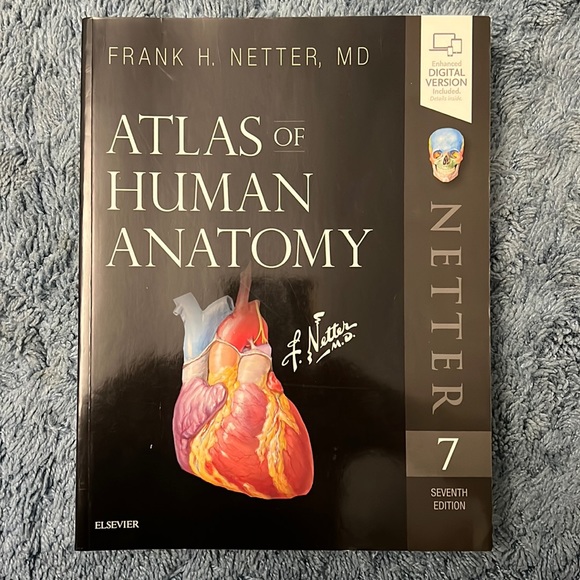 Office | Netters Atlas Of Human Anatomy | Poshmark